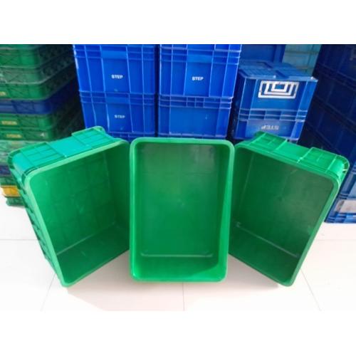 Jual Box Container Bak Plastik Kontener Kandang Magot Reptile Rabbit ...
