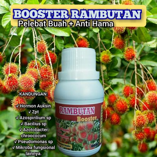 Jual Booster Pupuk Rambutan 100ml + Fungisida Anti Hama - Kab. Bantul - Central Pupuk Buah ...