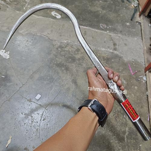 Jual Gancu Sawit Asli Malaysia Tebal Dan Tajam Kota Bukittinggi Menjual Perlengkapan Berburu