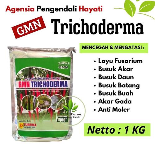 Jual TRICODERMA AGENSIA HAYATI, PUPUK GMN TRICHODERMA PADAT FUNGISIDA ...