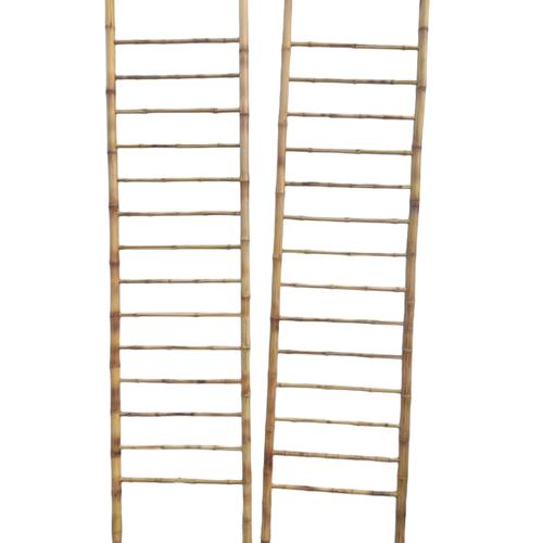 Jual Tangga Bambu | Bamboo Ladder | Tangga Dekorasi Ruangan - M - Kab ...