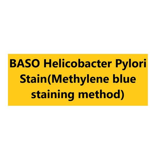 Jual BASO Helicobacter Pylori Stain(Methylene blue staining method ...