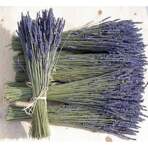 Jual Dried Lavender 50-70 tangkai | Lavender Kering Import - Kota ...