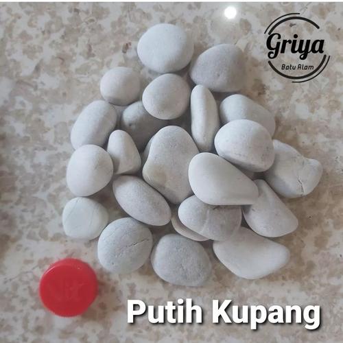 Jual Batu Koral / Batu Taman / Koral Kupang / Koral Telur Puyuh ...