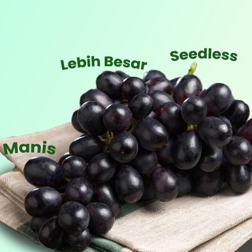 Jual anggur autumn manis /Seedless grapes 500 GRAM - Jakarta Timur ...