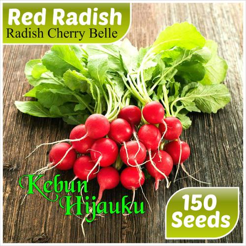 Jual Benih Biji Lobak Merah - Red Radish Cherry Belle Import - Kab ...