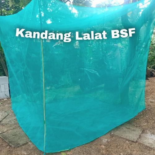 Jual jaring kandang lalat BSF 1x1x1 - 1x1x2 meter - Kab. Cilacap ... Jual jaring kandang lalat BSF 1x1x1 - 1x1x2 meter - Kab. Cilacap ...