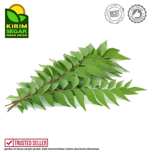 Jual Daun Kari Salam Koja Temurui Segar atau Kering Wild Curry Leaves ...