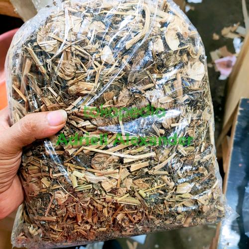 Jual Daun Ciplukan Kering / Daun cecendet kering 500gr - Jakarta Pusat ...