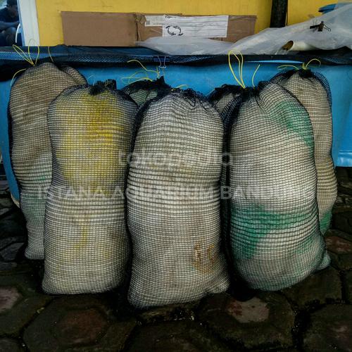 Jual jaring nelayan media filter - Kota Bandung - ISTANA AQUARIUM ...