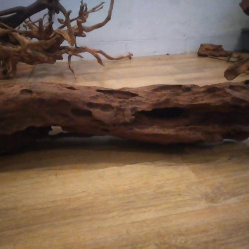 Jual Kayu Rentek XXL (50x20cm) Hiasan Aquarium Aquascape Paduan Tanaman ...