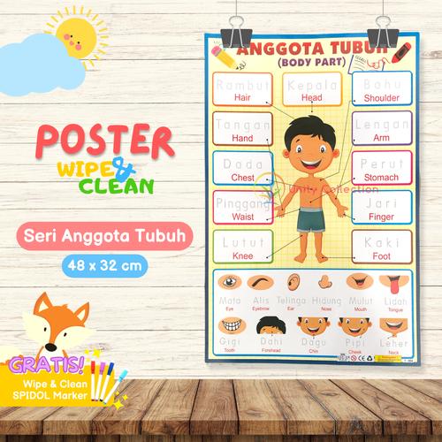 Jual Poster Edukasi Anak Wipe Clean Belajar Menulis Hijaiyah Alfabet ...