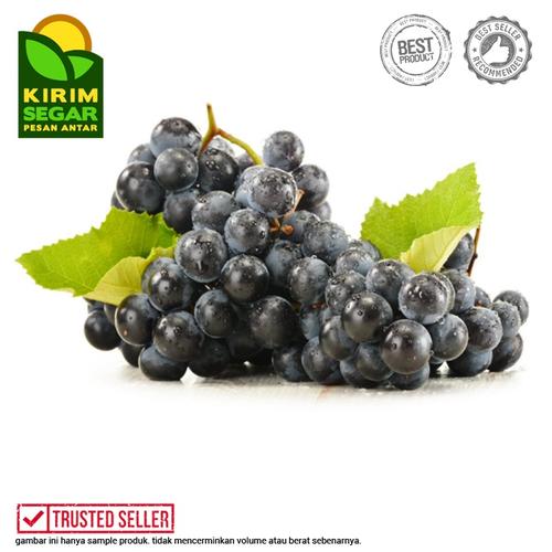 Jual Buah Anggur /Hitam Seedless/Tanpa BIji Segar /Fresh - 500gr ...