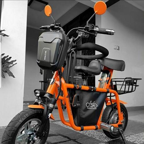 Jual NEW!! Fiido Q1 Custom Ko Godwin - Pesanan 3 unit - Kota Bekasi ...