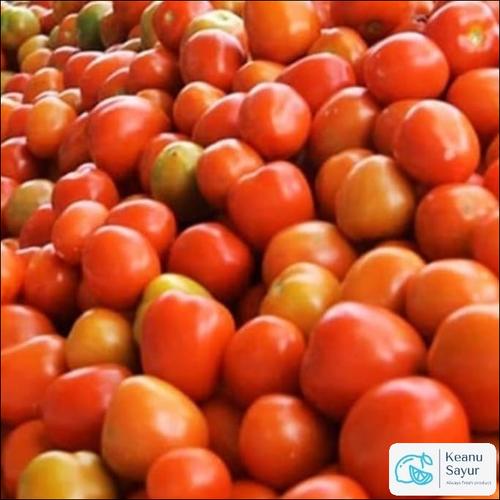 Jual Tomat sayur segar - 500 gram - Jakarta Selatan - Keanu Sayur ...