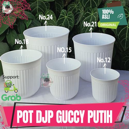 Jual POT BUNGA TANAMAN HIAS DJP GUCCY PUTIH MERAH ORI PLASTIK TEBAL ...