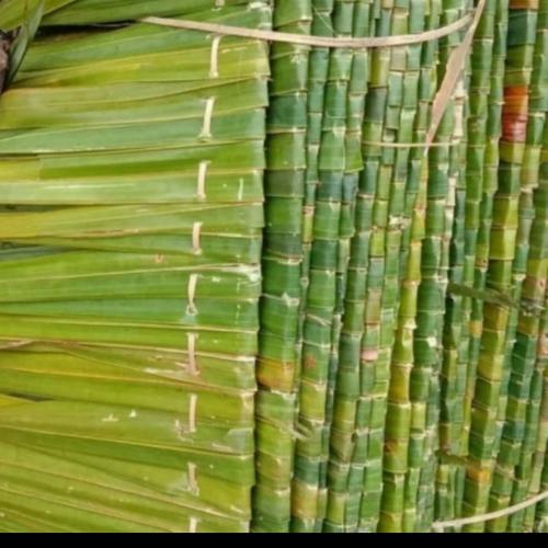 Jual atap daun dahon - atap daun rumbia - atap dahon - atap rumbia ...