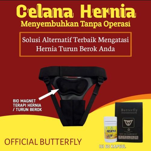 Jual Celana Hernia Butterfly Asli Original Sembuhkan Hernia Tanpa ...