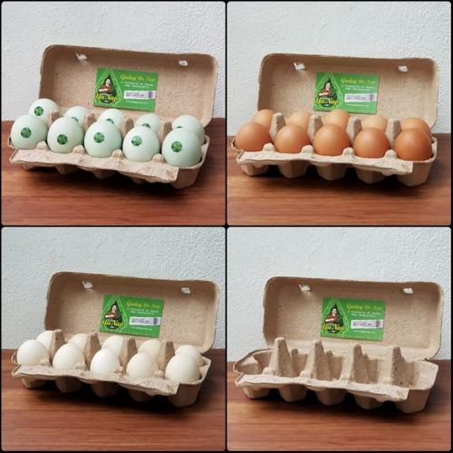 Jual SGS Paper Egg Box isi 10 Egg Tray Box Kotak Telur dgn Pengunci - 5 ...