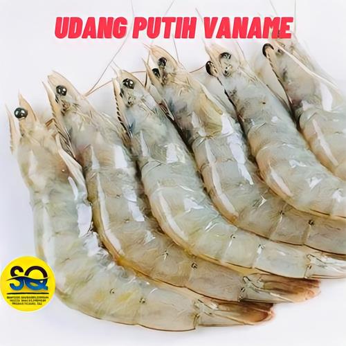Jual UDANG PUTIH VANAME SEAFOOD SEGAR BISA DIKUPAS - Kota Surabaya - SQ ...