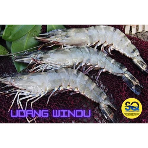 Jual UDANG WINDU BLACK TIGER SEAFOOD BISA DIKUPAS - Kota Surabaya - SQ ...