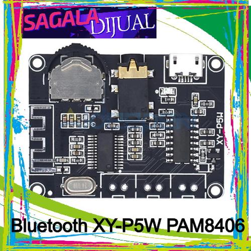 Jual P5W 5W+5W PAM8406 Bluetooth 5.0 stereo audio power amplifier ...
