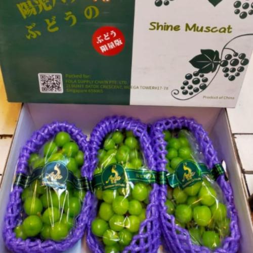 Jual ANGGUR HIJAU SHINE MUSCAT JEPANG KOREA MANIS GARING - PACK ...