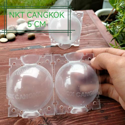 Jual Alat bantu cangkok tanaman ukuran S ( 5 cm ) Bola 5 cm - media ...