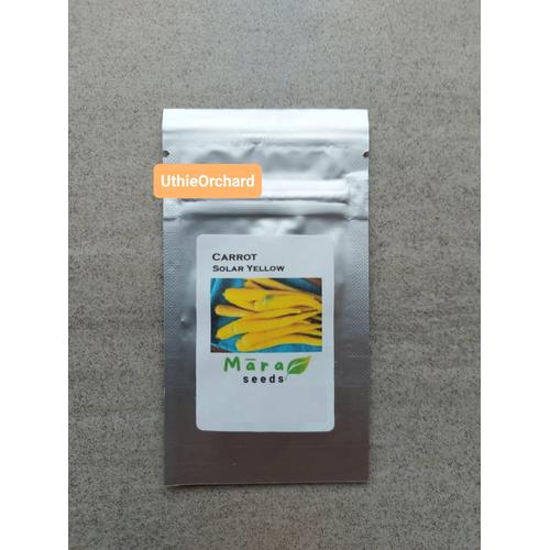 Jual Mara Seeds - Carrot (Wortel Kuning) Solar Yellow (150 Seeds ...