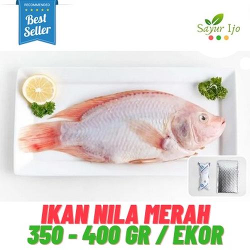 Promo Ikan Nila Merah 350-400 Gr/Ekor Fresh Nile Tilapia Fish Seafood ...