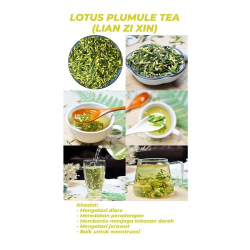 Jual TEH PUCUK TERATAI , LOTUS PLUMULE TEA , TEH LOTUS PLUMULE - 50 gr ...