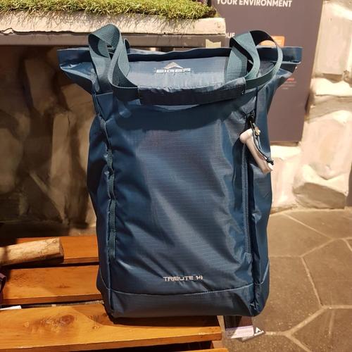 Jual TAS RANSEL EIGER TRIBUTE FOLDABLE TOTE 14L - GREEN - Kota Cimahi ...