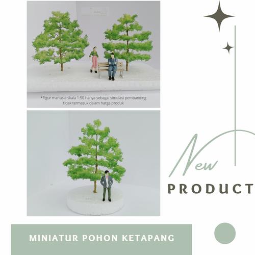 Jual MINIATUR POHON KETAPANG UNTUK MAKET ARSITEKTUR DAN DESAIN INTERIOR ...