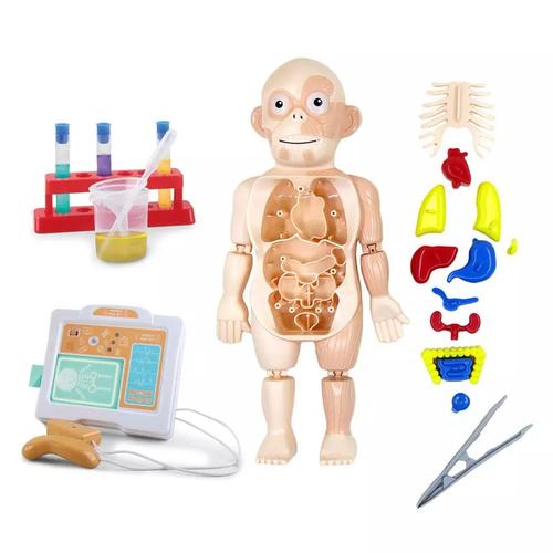 Jual Mainan Edukasi Sains Organ Tubuh Human Body For Future Physicians ...