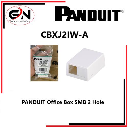 Jual Panduit Office Box SMB 2 Hole Mini-com Surface Mount Box CBXJ2IW-A ...