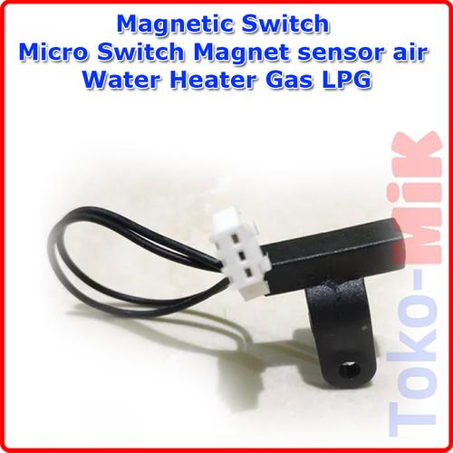 Jual Magnetic Switch Micro Switch Magnet Sensor Air Water Heater Gas ...