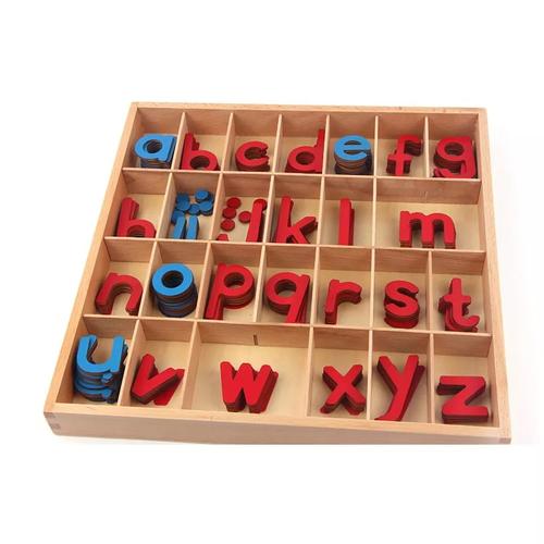 Jual Aparatus Montessori Large Movable Alphabet Lowercase 5set Impor ...