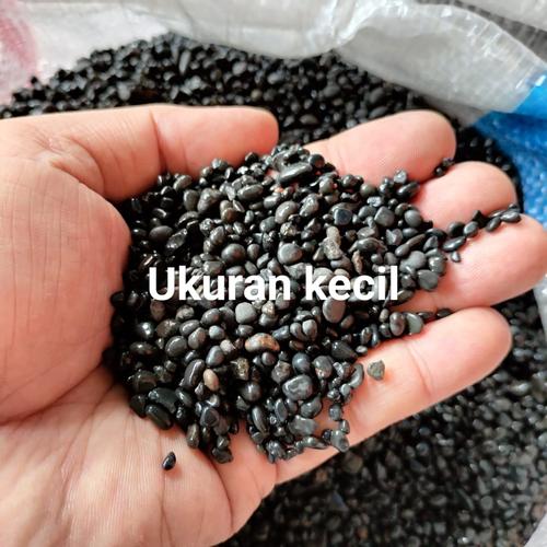 Jual Batu Alor Bali / Batu Hitam / Aquascape / 500gr - SEDANG - Jakarta ...