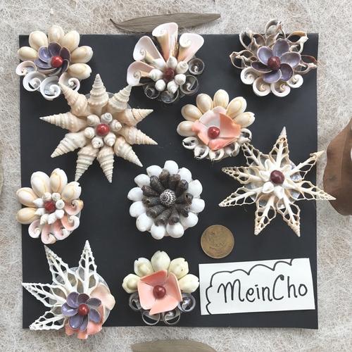 Jual Aneka Kolase Kerang Bintang Laut Bahan Prakarya Kerajinan (3-5 ...