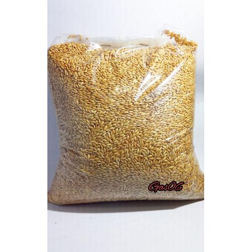 Jual Canary Seed/Kenari Seed VITA Repack - 500 gram - Kab. Sidoarjo ...