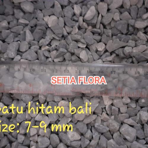 Jual Batu Alam Hias Taman Tanaman/Hitam Bali Karungan - Jakarta Selatan ...