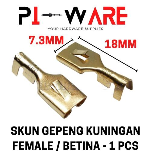 Jual Skun Gepeng Kuningan Betina Female Ukuran 6mm Besar Untuk Motor ...