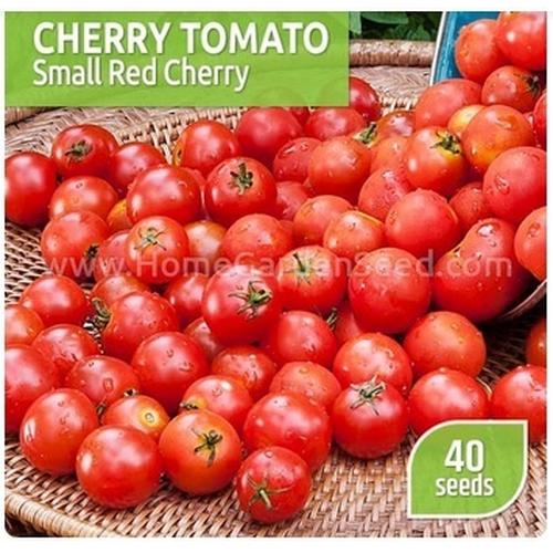 Jual Benih Bibit Tomat Cherry - Tomato Small Red Cherry - Jakarta Timur ...