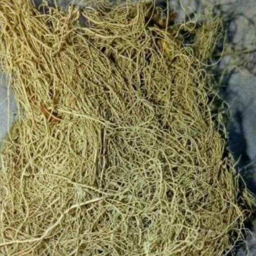 Jual KAYU ANGIN KERING - TAHI ANGIN 100 GRAM - Kota Yogyakarta - TOKO ...