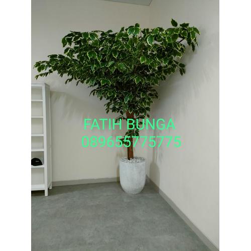 Jual pohon hijau-pohon plastik-bunga hias-bunga besar-bunga artificial ...