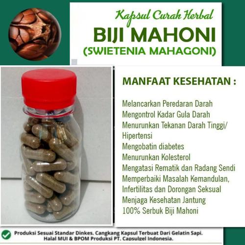 Jual Biji mahoni kemasan 50 kapsul Curah herbal untuk Diab3tes ...