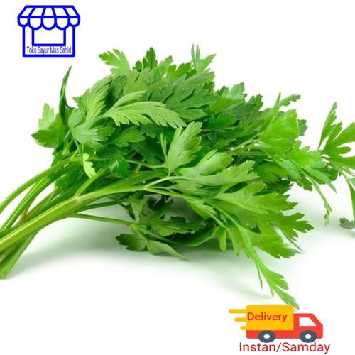 Jual Seledri 250 gram - Kota Tangerang - Toko Sayur Mas Sahid | Tokopedia