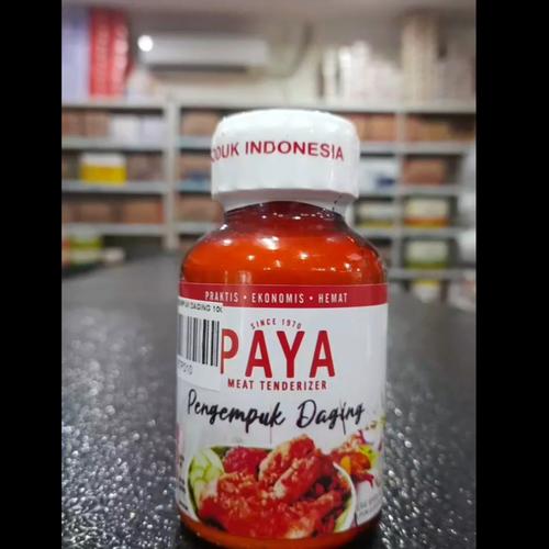 Jual Paya Pengempuk Daging 100gr - Kota Yogyakarta - INTISARIJOGJA ...