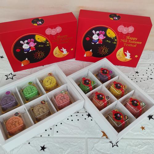 Jual Homemade - Snowskin Mooncake / Kue Bulan Bing Pi isi 6pcs ...