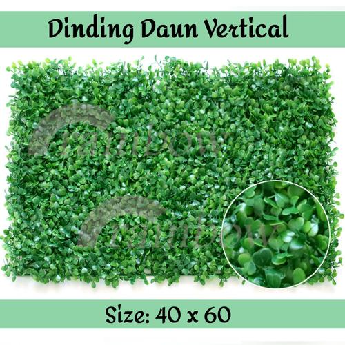 Jual Tanaman Rumput Dinding / Rumput Sintetis Rambat / Rumput Daun ...